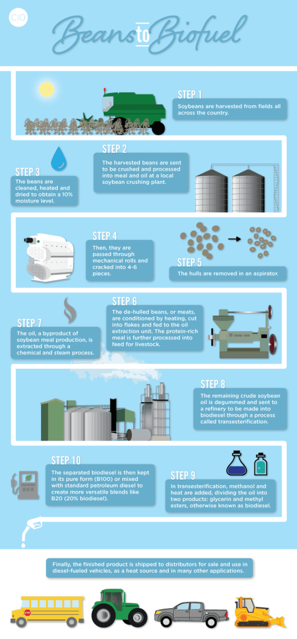 How biodiesel is made: The soybeans’ journey from food to fuel - C.O.nxt