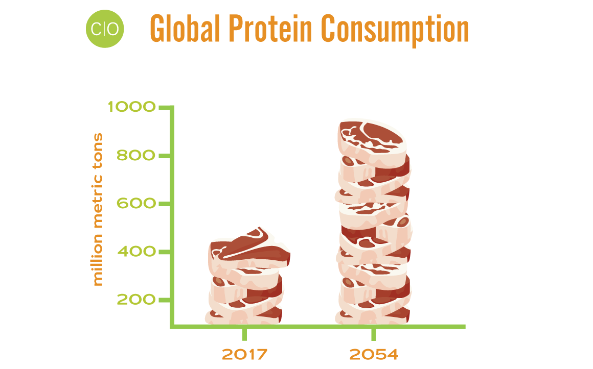 The alternative protein trend: By the numbers - C.O.nxt