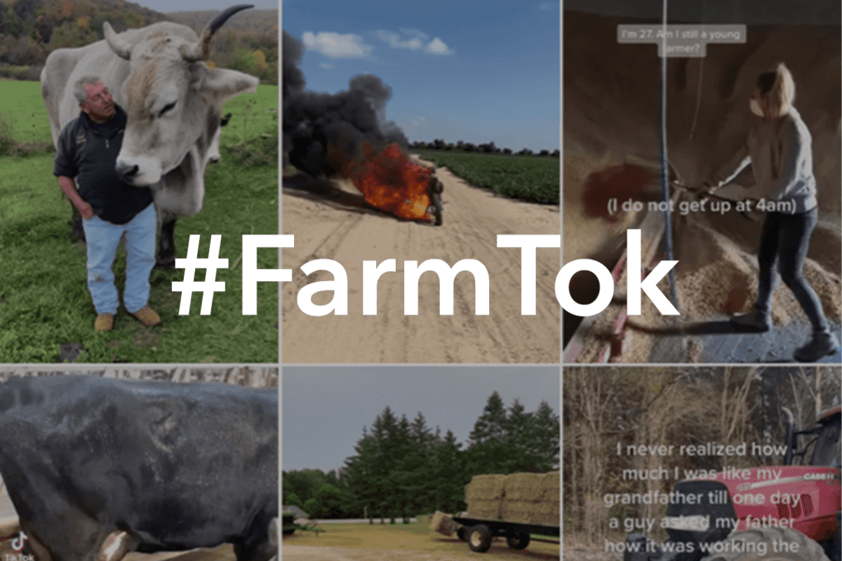 The food system takes on TikTok. - C.O.nxt