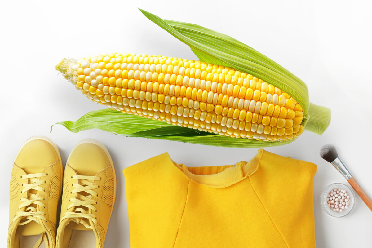 Corn's Sustainable Fashion Debut: A Green Alternative to Petroleum ...